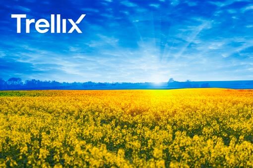 Trellix Stands for Peace